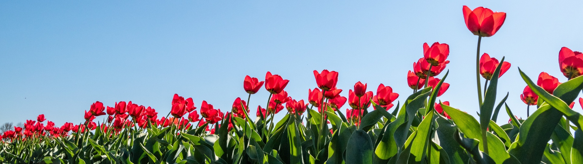 Bowral NSW | Lets Go Motorhomes