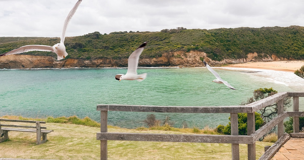 The Most Amazing Places to Visit in Australia During Spring | Lets Go ...