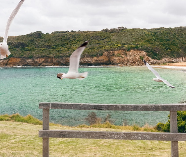 The Most Amazing Places to Visit in Australia During Spring | Lets Go ...
